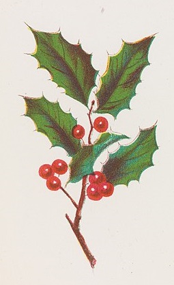 Analyzing Data to Determine Relationships between Animal Behaviors or ...