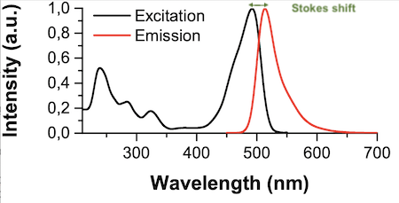 Interpreting a Figure of Energy Transformations Practice | Biology ...