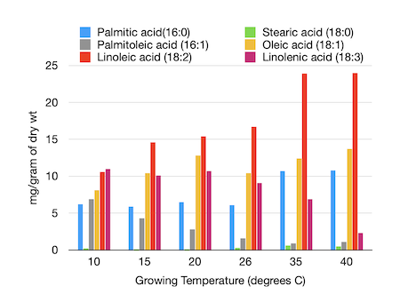 Interpreting a Graph of Membrane Phospholipids to Predict their Ability ...