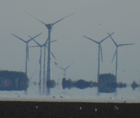 Mirage Definition, Causes & Types | Study.com