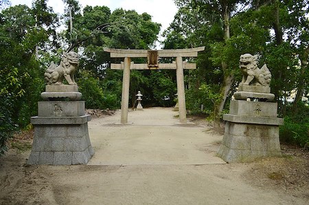 Japanese Shinto Gate | History, Features & Examples | Study.com