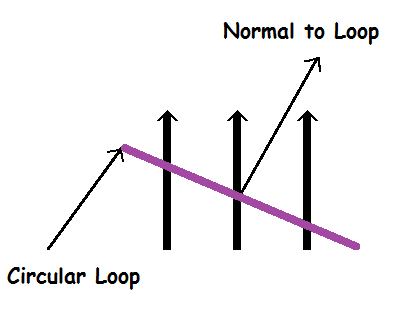 Calculating the Magnetic Flux through a Circular Loop with Arbitrary ...