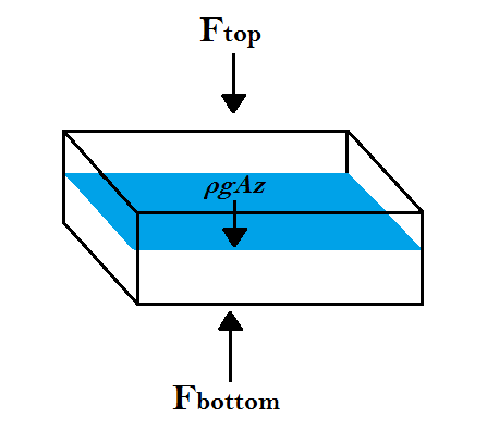 Drawing a Free Body Diagram for an Infinitesimal Layer of Fluid at ...