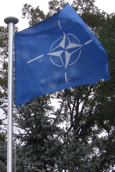 What is NATO? | Definition & Member Countries - Lesson | Study.com