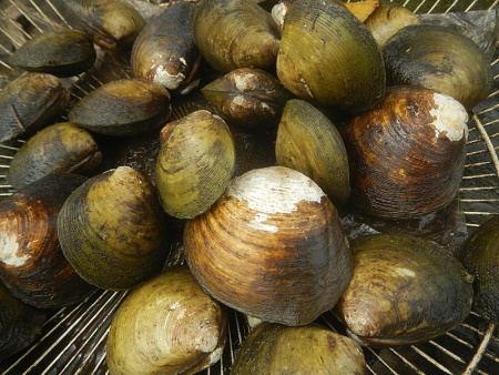 Kosher Food List, Cooking & Preparation - Lesson | Study.com