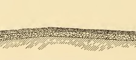 Watling Street | Location, History & Battle | Study.com