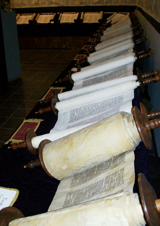 Parts of the Bible | Books, Contents & Other Sections | Study.com
