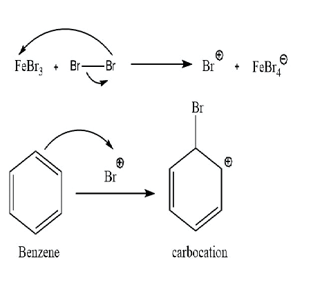 In the bromination of benzene using Br_2 and FeBr_3, is the ...