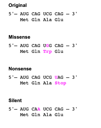 Interpreting How a Change in DNA or RNA Sequence Alters its Function ...