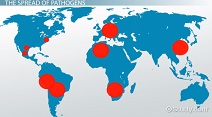 How Globalization Affects the Spread & Treatment of Pathogens - Lesson ...