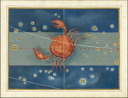 Month of July | History, Symbols & Holidays | Study.com