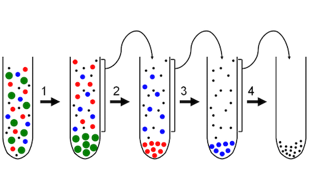 Cell Fractionation | Definition & Procedure - Lesson | Study.com