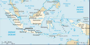 Ethnic Groups in Indonesia | Demographics & People - Lesson | Study.com