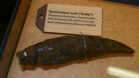 Tyrannosaurids Classification & Types | Study.com