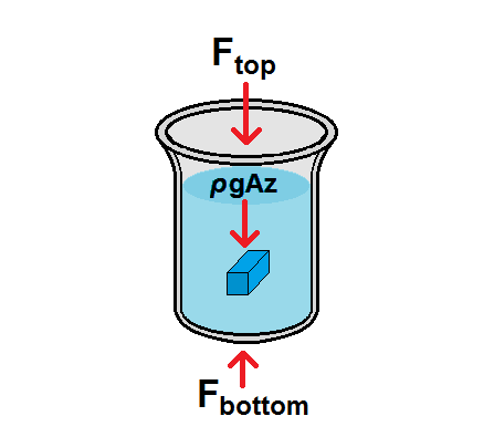 Drawing a Free Body Diagram for an Infinitesimal Layer of Fluid at ...