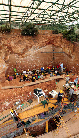 Homo Heidelbergensis Location, Tools & Facts | Study.com