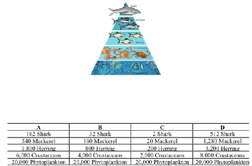 STAAR Science - Grade 8 Practice Test