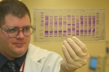 Genotyping & Phenotyping: Definitions, Processes & Uses | Study.com