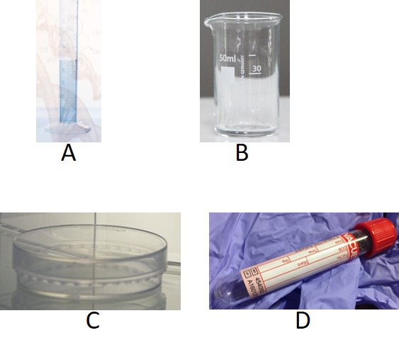 NES Elementary Education Subtest 2 103 Practice Test