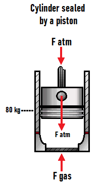 Drawing a Free Body Diagram for a Piston Practice | Physics Practice ...