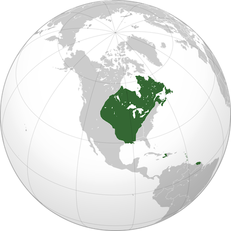 Colonization of North America | Overview & Settlement - Lesson | Study.com