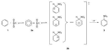 Electrophilic Aromatic Substitution | Mechanism & Reaction | Study.com