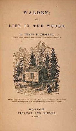 Henry David Thoreau | Biography, Writings & Transcendentalism | Study.com