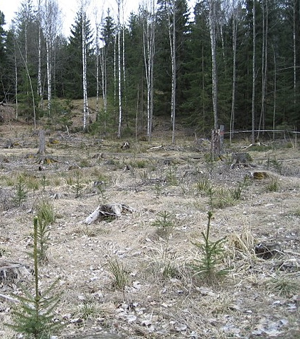 Urbanization | Definition & Examples - Lesson | Study.com