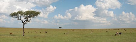 Savanna Threats | Ecosystem & Preservation - Lesson | Study.com