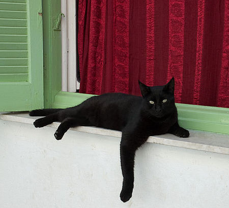 Window Sill Definition, Purpose & Types - Lesson | Study.com