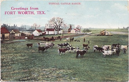 Livestock Farming, Types of Animals & Agriculture | Study.com