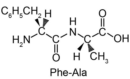 Draw the structure for each peptide: (a) Phe-Ala; (b) Gly-Gln; (c) Lys ...