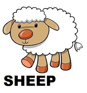 Praxis Teaching Reading Test (5204): Practice & Study Guide - Practice ...