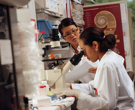 Immunology Definition, Branches & Importance | Study.com