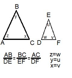 Test for Admission into Catholic High Schools (TACHS): Practice & Study ...