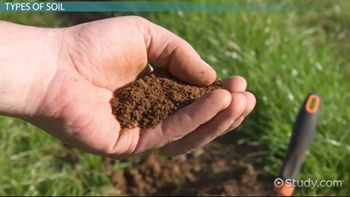 Soil & Erosion: Definition, Types, Causes & Prevention - Lesson | Study.com