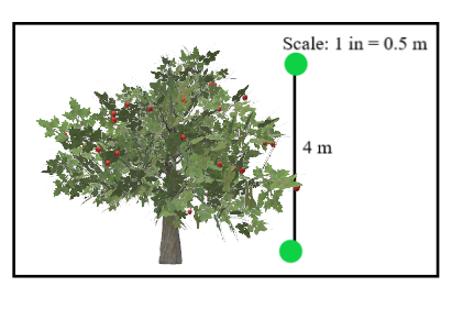 Finding Lengths Using Scale Models Practice | Geometry Practice ...