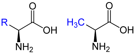 Categorizing the Four Biological Macromolecule Monomers Based on an ...