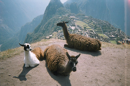 CSET Social Science Subtest II 115 Practice Test