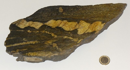 Anatexis & Palingenesis: Definitions & Examples | Study.com