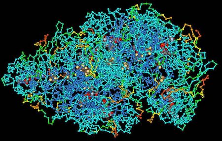 Bacterial Protein Synthesis | Process & Inhibitors - Lesson | Study.com