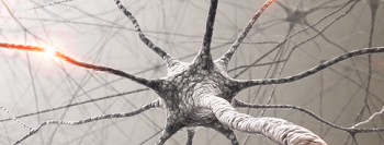 Nodes of Ranvier | Definition, Structure & Function - Lesson | Study.com