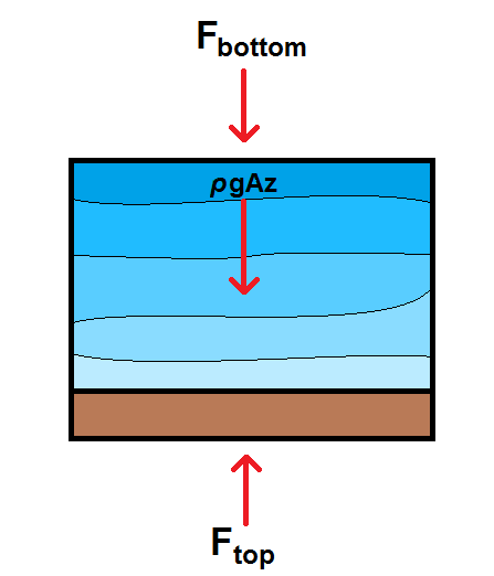 Drawing a Free Body Diagram for an Infinitesimal Layer of Fluid at ...