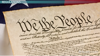 Sources of Law in the United States | Types & Branches - Lesson | Study.com