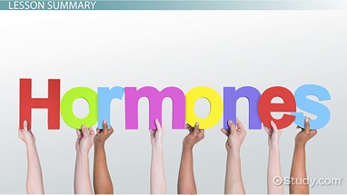 The Functions of Important Hormones - Lesson | Study.com