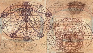 Sylph | Origins, Definition & Characteristics | Study.com