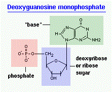 Anion | Definition, Properties & Examples - Lesson | Study.com