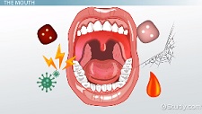 Diseases of Oral Cavity Tissues: Terminology - Lesson | Study.com