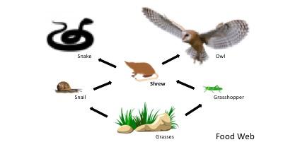 GED Science Practice Test