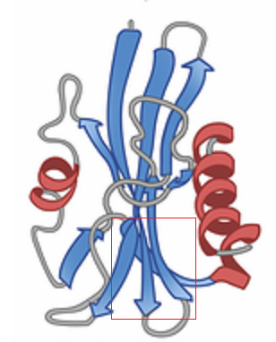 Naming an Element of a Protein Secondary Structure from a Description ...